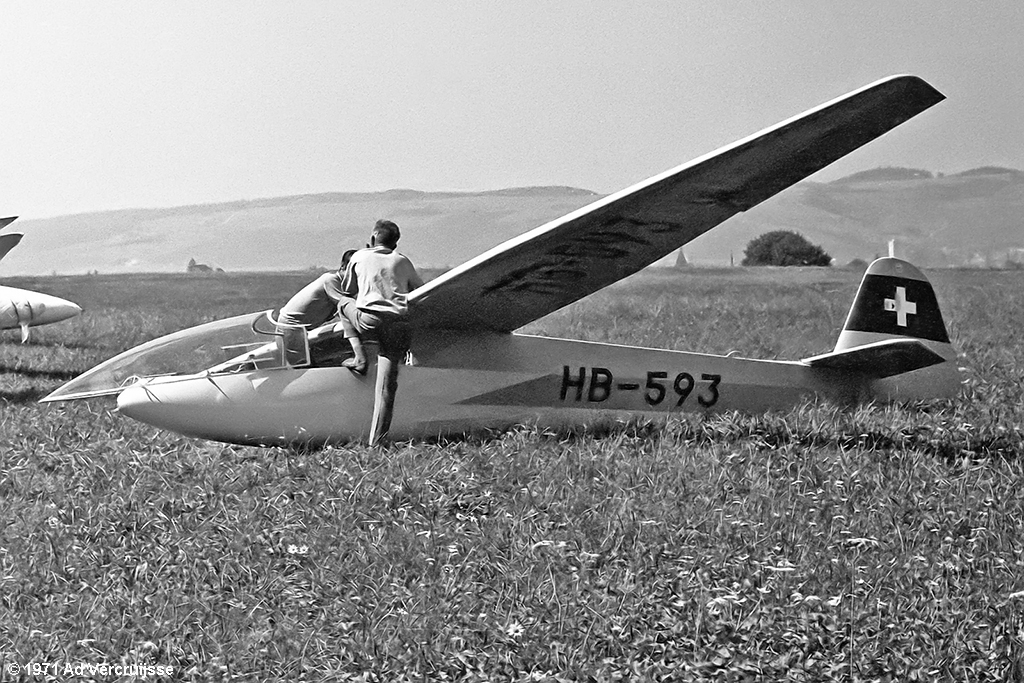 Scheibe Spatx & L-Spatz photos